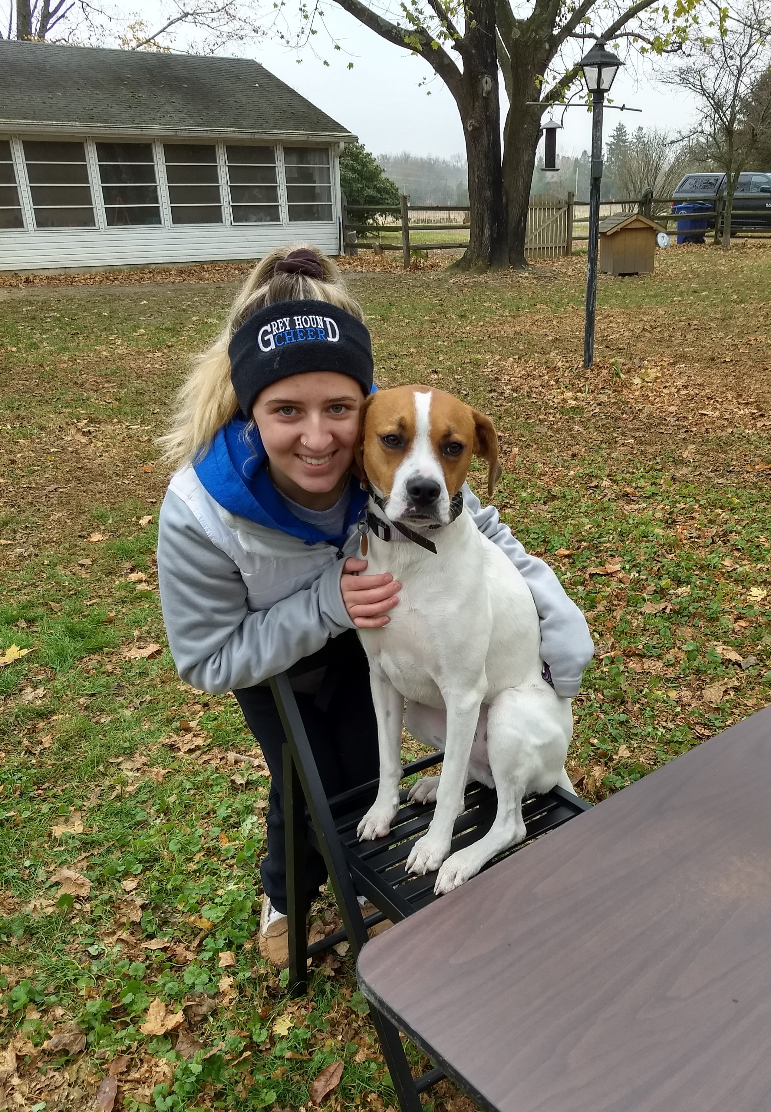 Service Dogs : Sharp K9